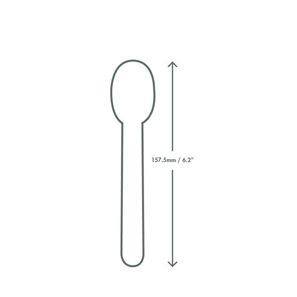 Paper Spoon 6.2" 6.2" 15.8cm Paper (1 x 1000)